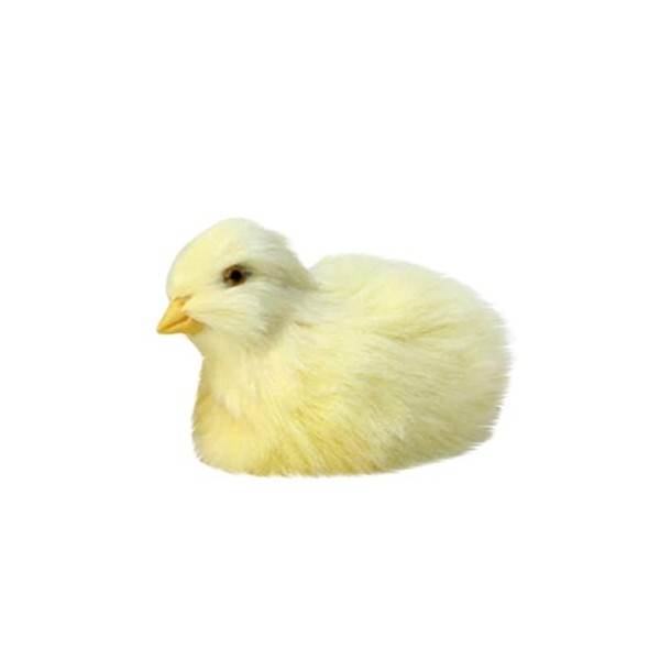 Peluche Poussin Petit, 1PCS Poussin Réaliste en Peluche Poussin Fig...