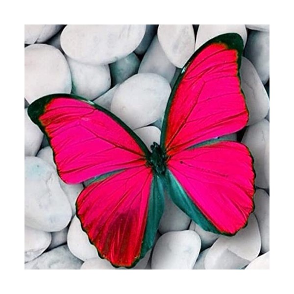 Puzzle 3D 3000 p - Butterfly,3000 Puzzles en Bois pour Adultes et E...