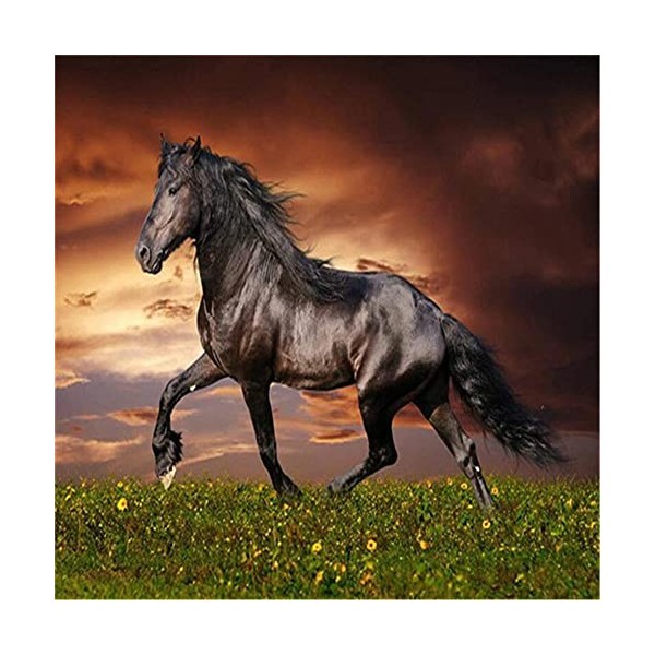 Puzzle Puzzles pour Adultes Puzzles 5000 pièceschevalPuzzle en Bois...